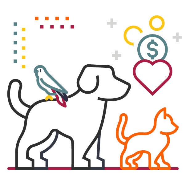 Future focus: 3 keys to sustainable growth in animal welfare